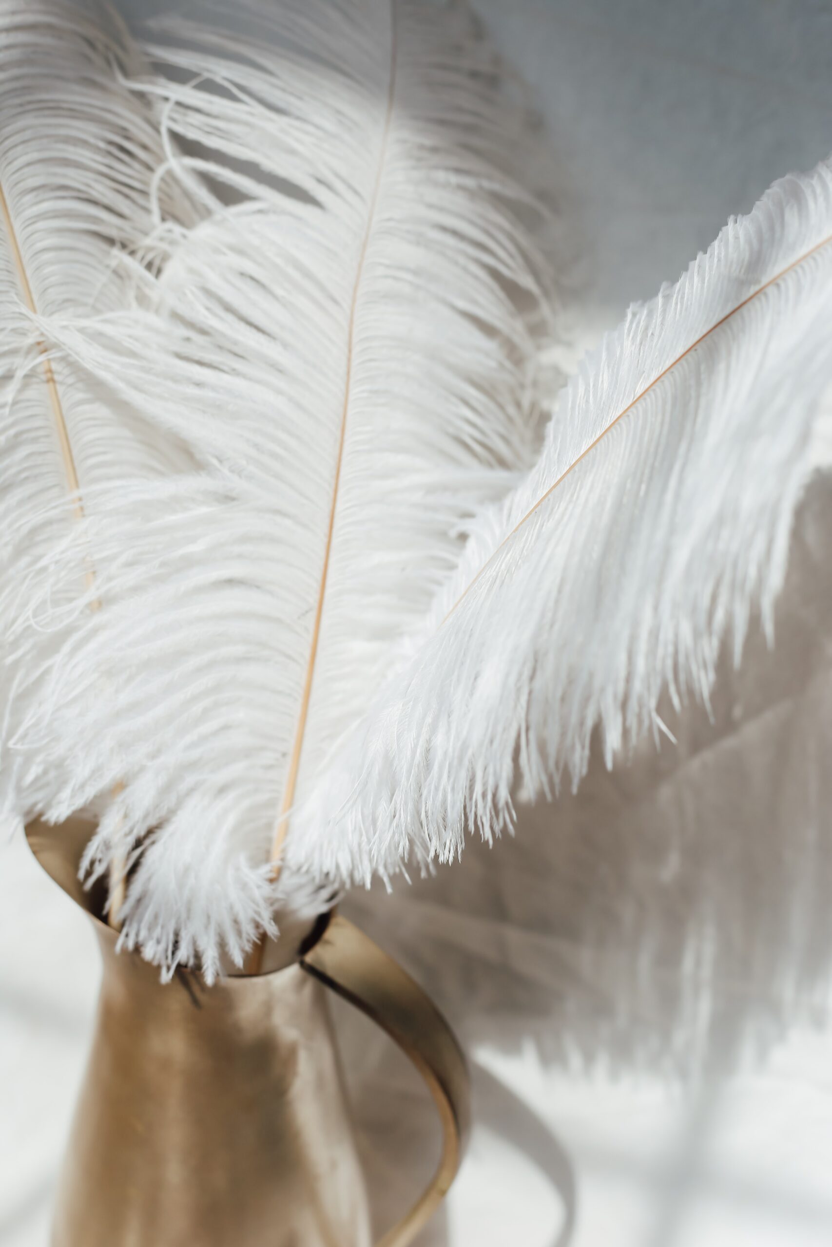 Living the Soft Life - Self Care School